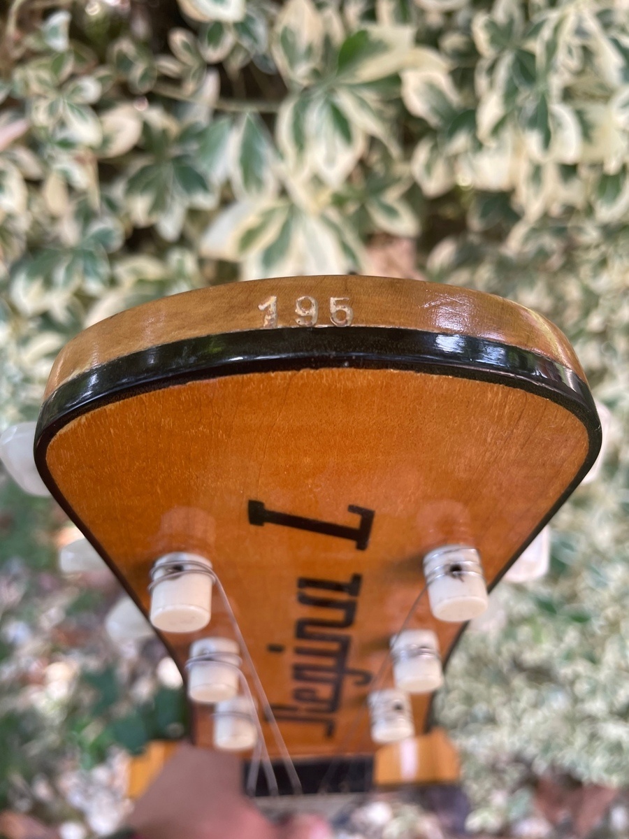 Collection - Regina L - Sixties Guitars - European Vintage Guitars & Parts