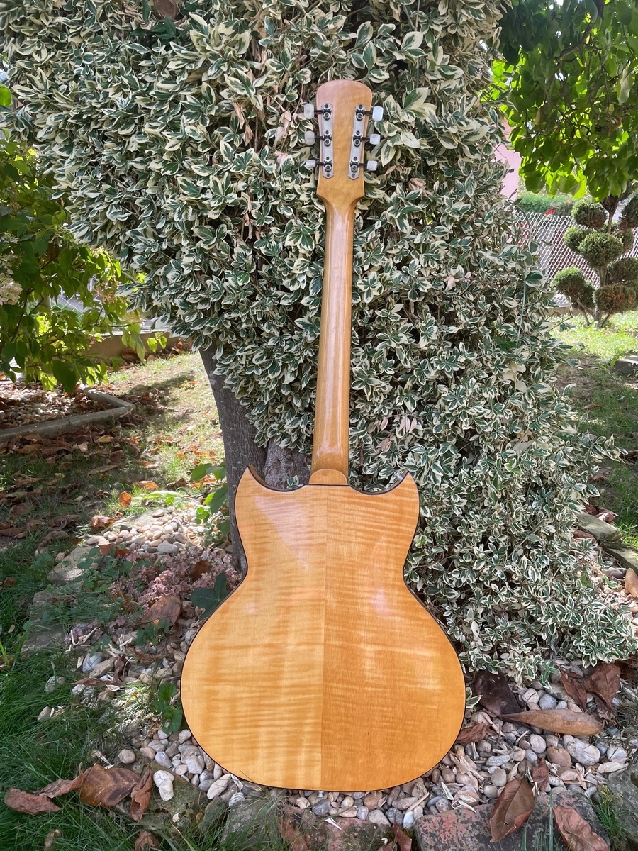 Collection - Regina L - Sixties Guitars - European Vintage Guitars & Parts