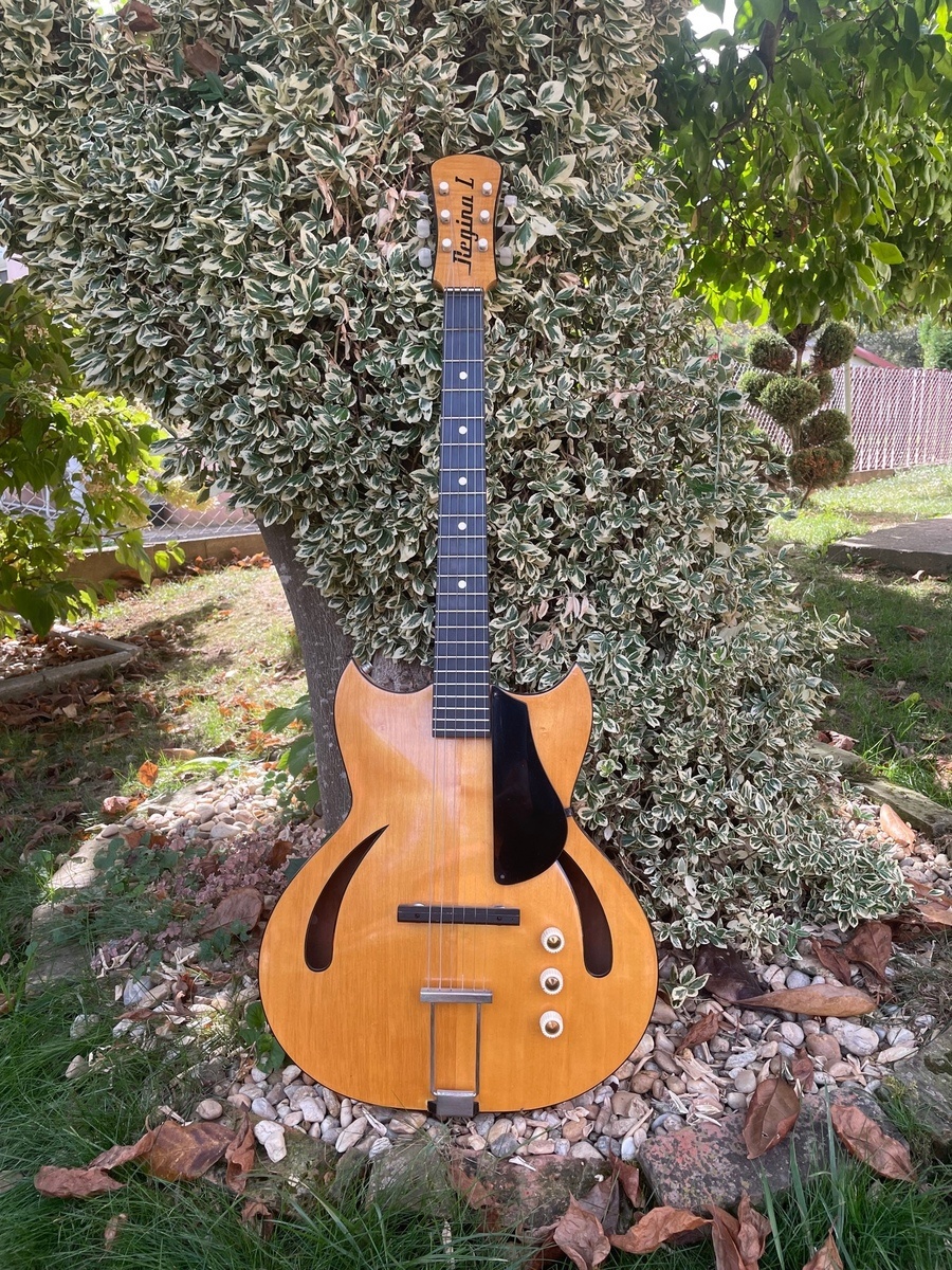 Collection - Regina L - Sixties Guitars - European Vintage Guitars & Parts