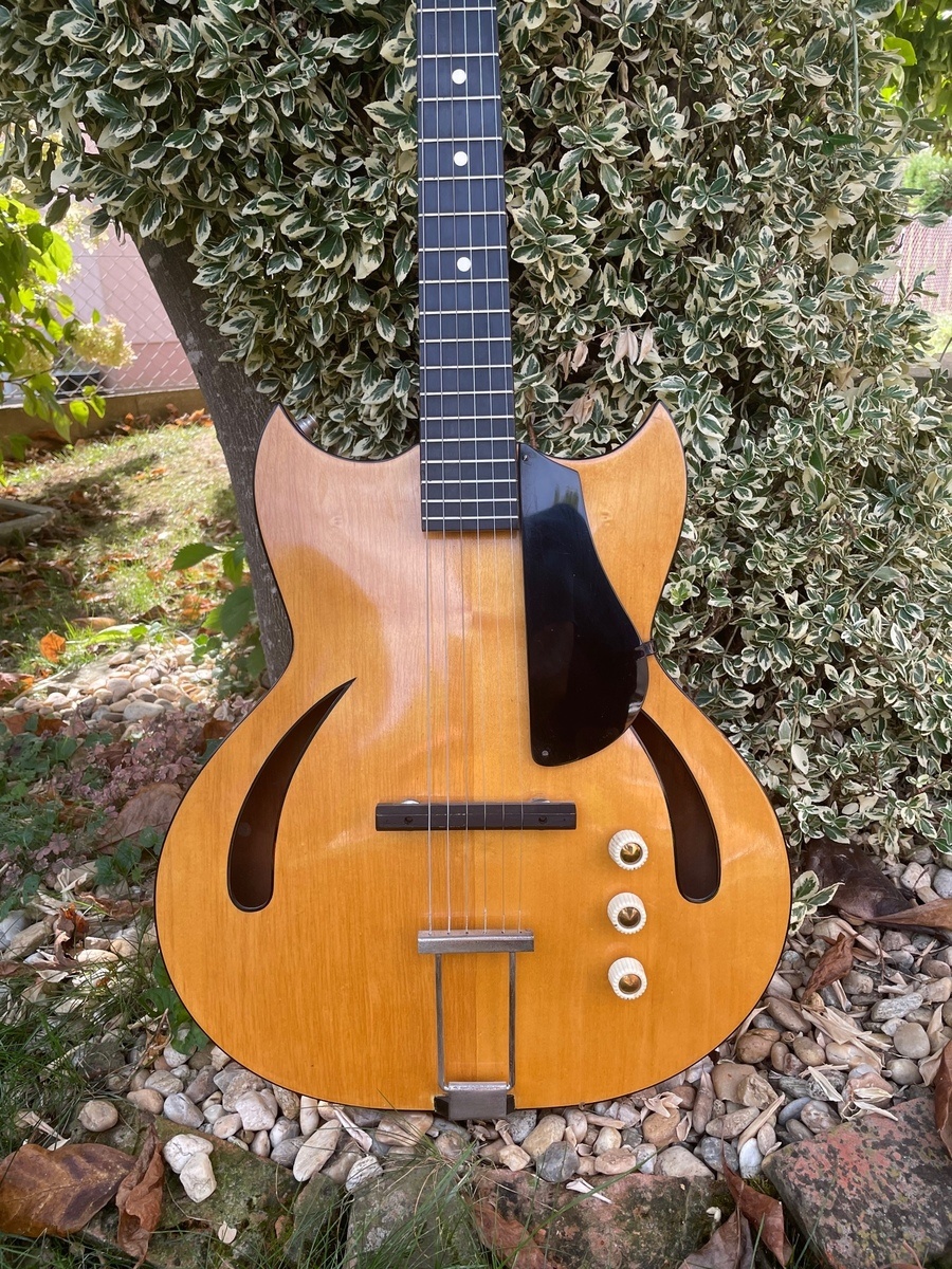 Collection - Regina L - Sixties Guitars - European Vintage Guitars & Parts