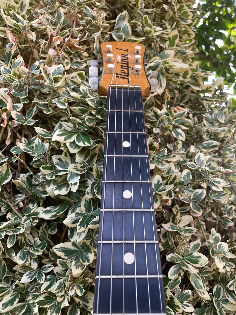 Collection - Regina L - Sixties Guitars - European Vintage Guitars & Parts